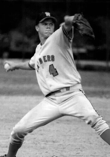 Doubly elite: Waynesburg graduate Fritz found stardom in both baseball ...